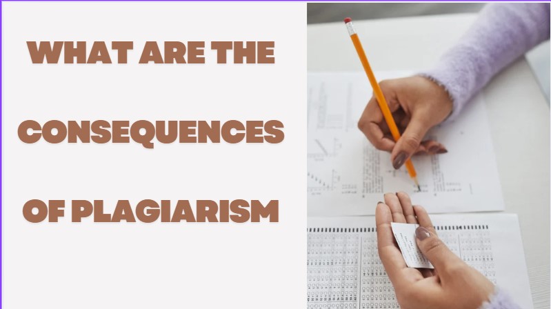 What Are the Consequences of Plagiarism? Explained - assignment writer